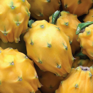 Comprar Pitaya Amarilla Palora, Pitaya, Fruta de Dragón